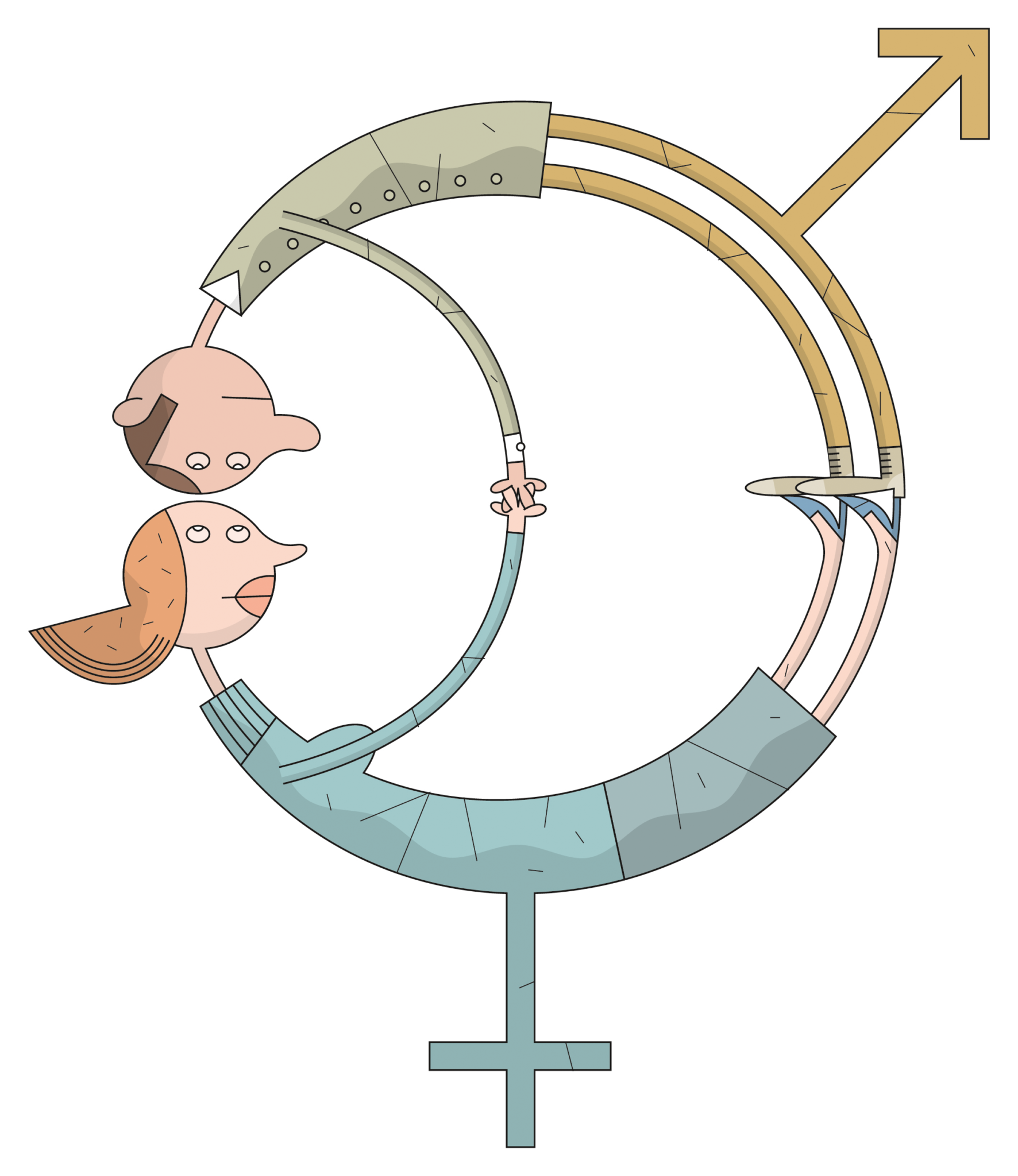 Human rights, women rights, same fight! - Cartooning for Peace